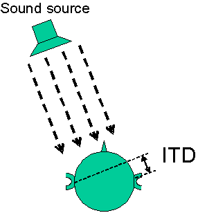 Figure1: Interaural time differences